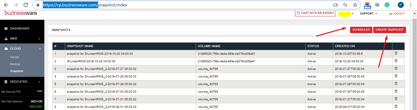How to Create Snapshot for your server from CP - Help | Buzinessware
